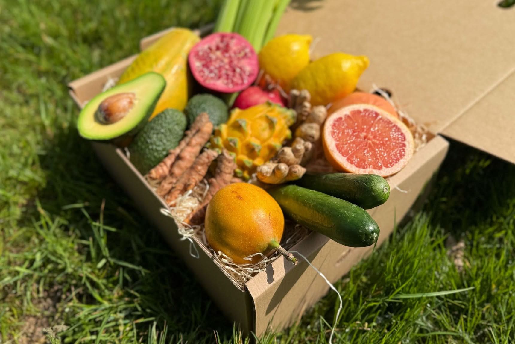 Detox Box bestellen - Trübenecker.de