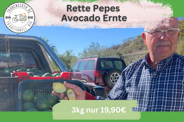 Reed Retterbox | Avocado reed kaufen - Trübenecker.de