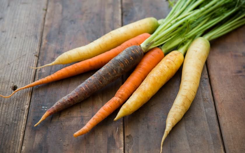 Karotten bunt Bio bestellen - Trübenecker.de