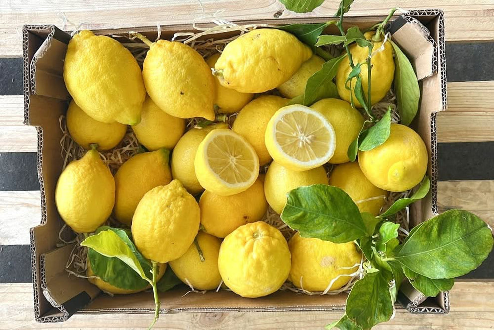 Zitronen Original Amalfi Bio bestellen - Trübenecker.de