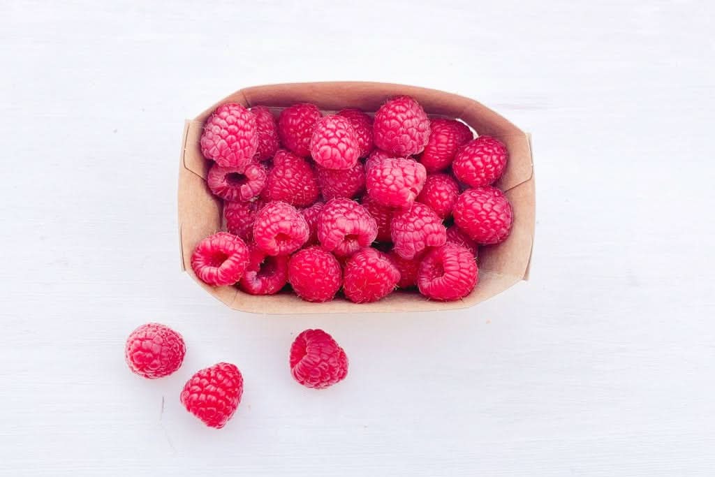 Himbeeren Bio bestellen - Trübenecker.de