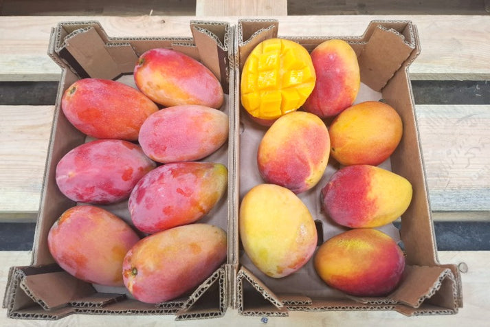 Mango Irwin & Sensacion Bio Aktionsbox bestellen - Trübenecker.de