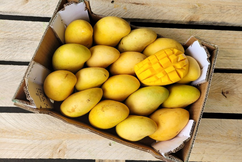 Honig-Mango Ataulfo von Jose Retter-Box bestellen - Trübenecker.de